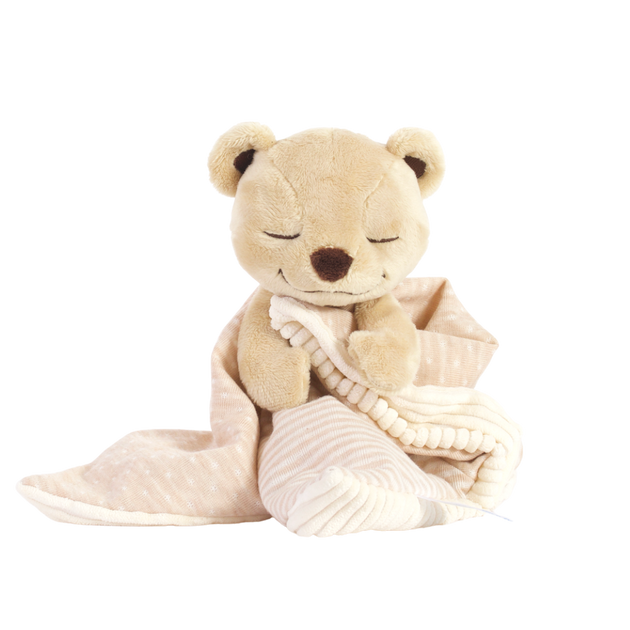 Shop – Meddy Teddy